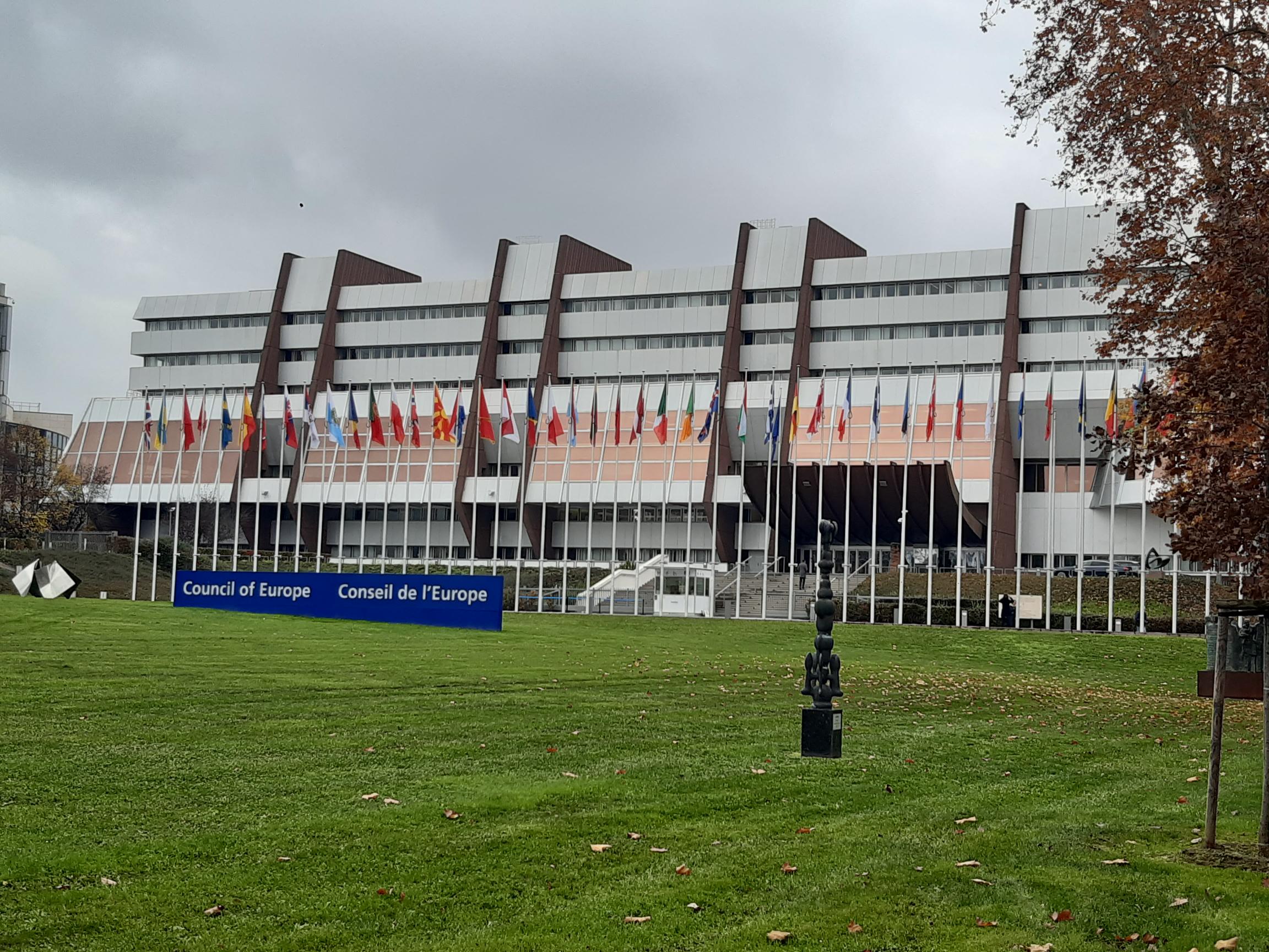 MEDEL at the Conference of INGO's